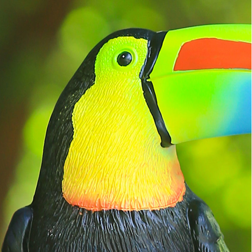 French Country Toucan Garden Ornaments | Yedwo Design – YEDWO